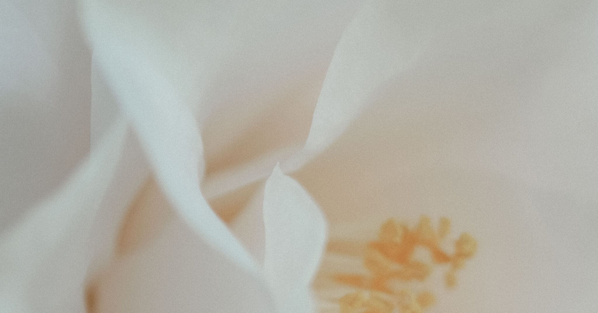 Scripture Lullabies | Powerfully Peaceful Music for Every Age